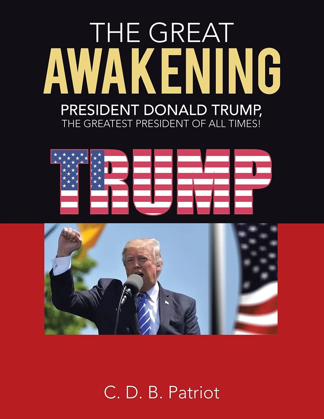 Amazon.com: The Great Awakening: President Donald Trump, the Greatest ...
