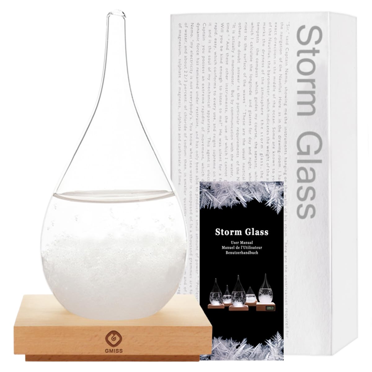 Amazon.com : Storm Glass Weather Predictor,Christmas Snow Globe Storm ...