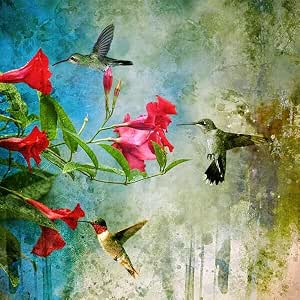 Amazon.com: Three Hummingbirds on Fuchsia Quilt Panel, Bhb-019, Panel ...