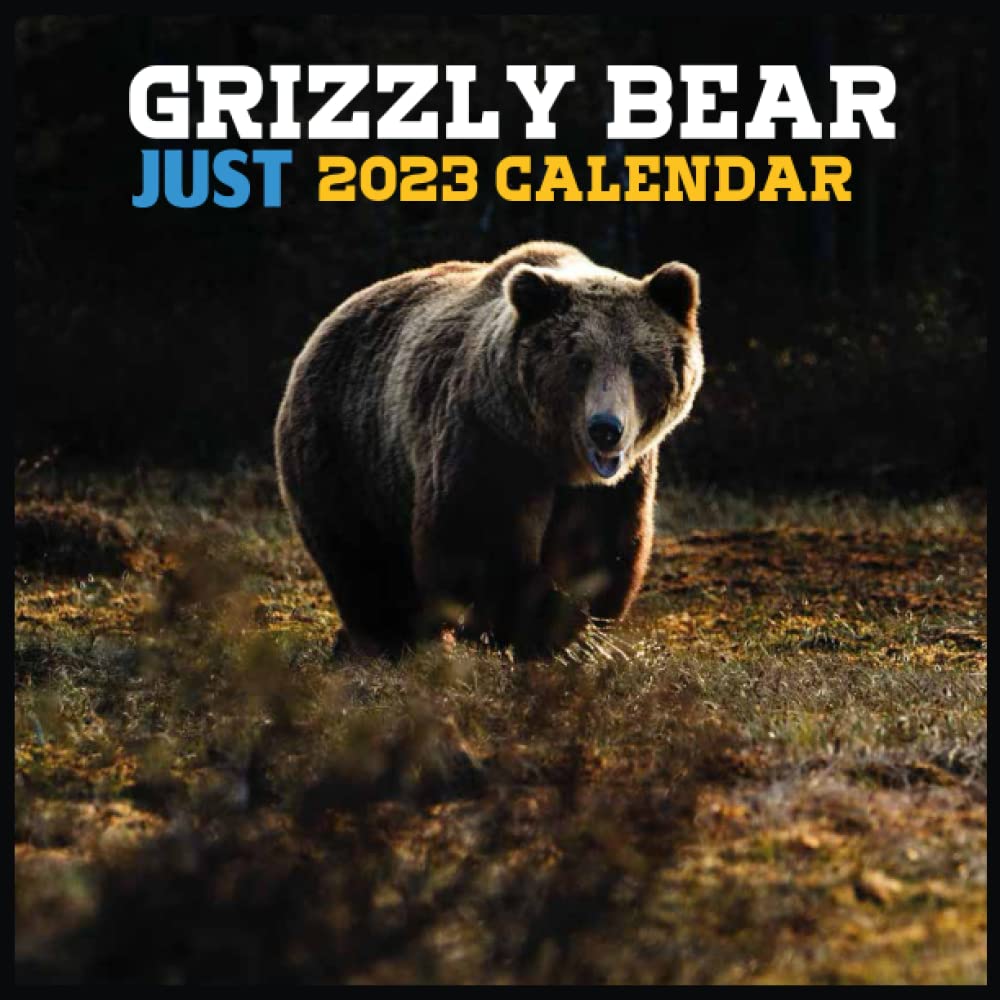Buy Just Grizzly Bear 2023 : Official Bears 2023 , 12 Month 2023 ...