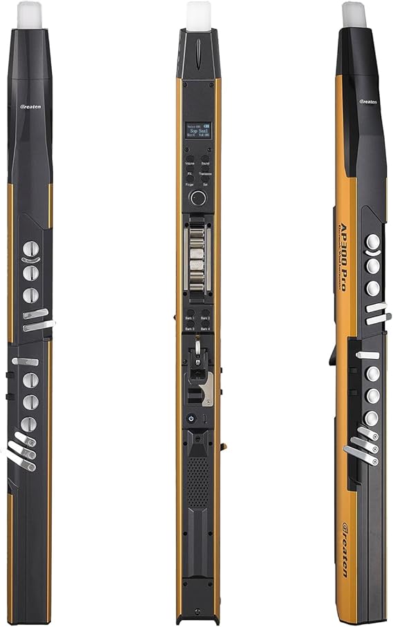 Amazon.com: GREATEN AP 300 Pro Electronic Wind Instrument with Bulit in ...