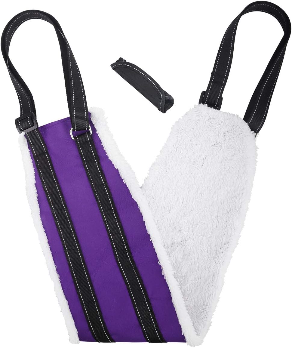 Buy VOOPET Dog Sling, Help Lift Back Legs, Portable Hip Support Harness ...