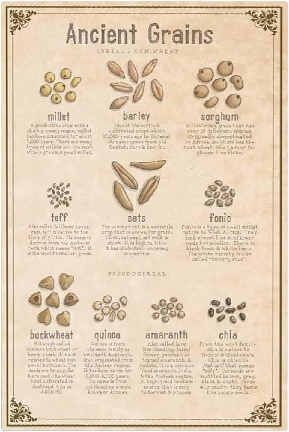 Amazon.com: Youpinnong Ancient Grains Chart Metal Signs Retro Wall ...