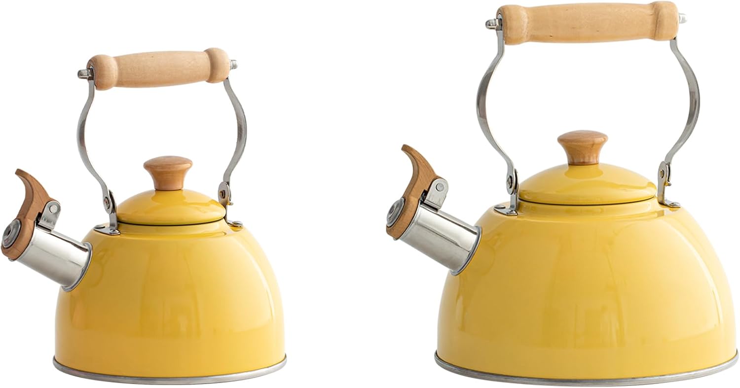 Amazon.com: ROCKURWOK Tea Kettle, Tea Pot with Cool Touch Ergonomic ...