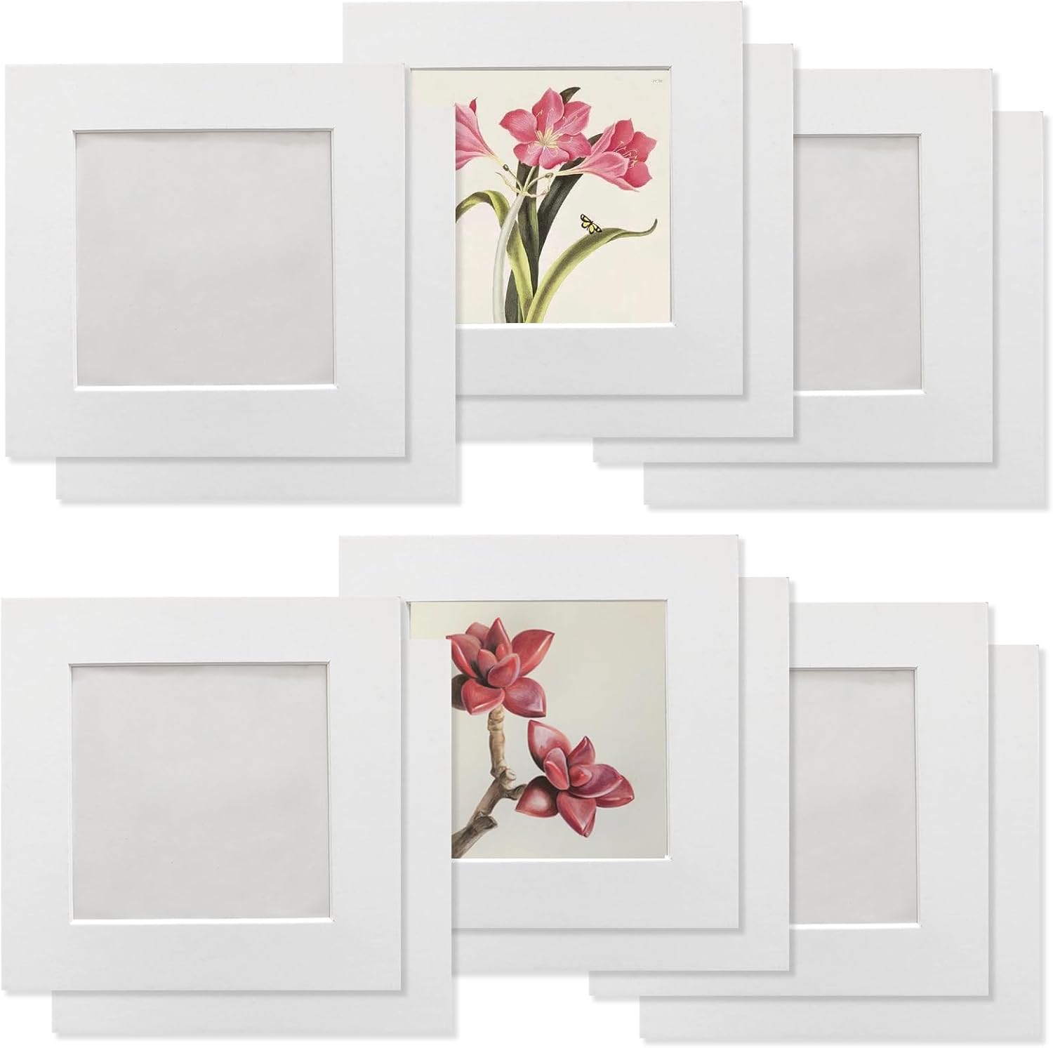Amazon.com - 4x4 inch Collage Picture Frame Set of 12,Colorful Stick-On ...