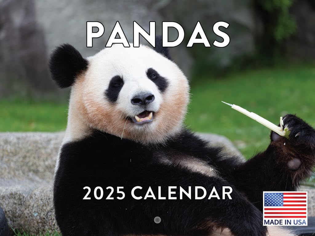 Amazon.com: Panda Calendar 2025 Panda Gifts Monthly Wall Calender 12 ...
