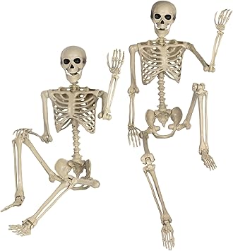 Amazon.com : DECORLIFE 2 Pack Pose-N-Stay Skeleton, 5FT Life Size ...