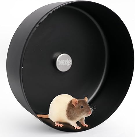 Amazon.com : 11.8" Silent Fancy Rat Exercise Wheel, Aluminum Alloy ...