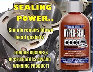 ENGINE REVIVE - HEAD GASKET PERMANENT SOLUTION -100% : Amazon.in: Car ...