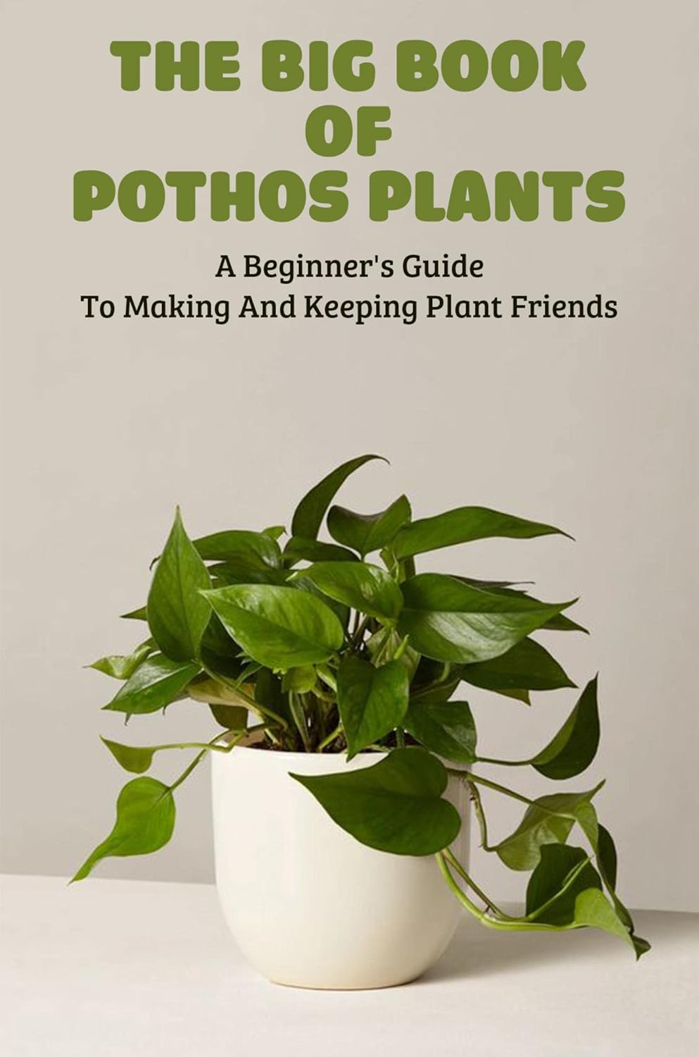 Amazon.com: The Big Book Of Pothos Plants: A Beginner's Guide To Making ...