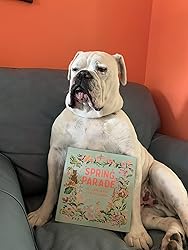 Spring Parade: A Picture Book (Seasonal Parade): Kay, Camelia, Howard ...