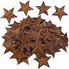 Amazon.com: Rusty Metal Barn Star for Crafts, 50 PCS Vintage Texas ...