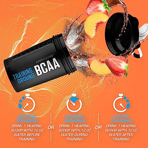 Snapklik.com : EFX Sports Training Ground BCAA Fully Stable, Highly ...