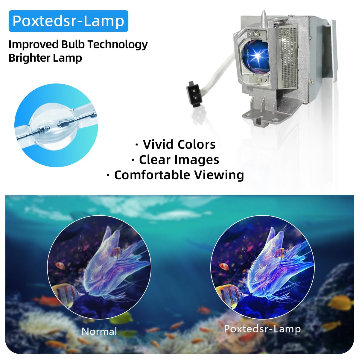 WOWSAI SPLAMP-032 Replacement Lamp in Housing for INFOCUS INFOCUS IN81 ...