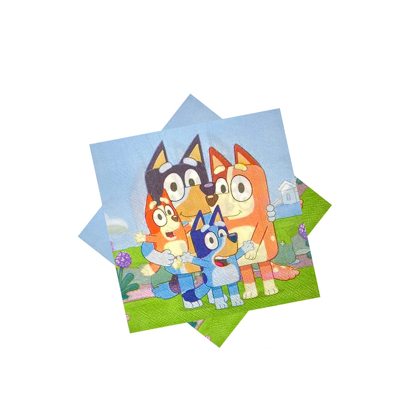 Bingo Bluey Birthday Party Supplies Pack Includes 20 Plates and 20 ...