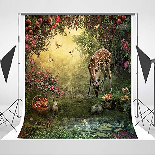 Buy Snow White Themed Happy Birthday Background 5x7 Red Apples ...