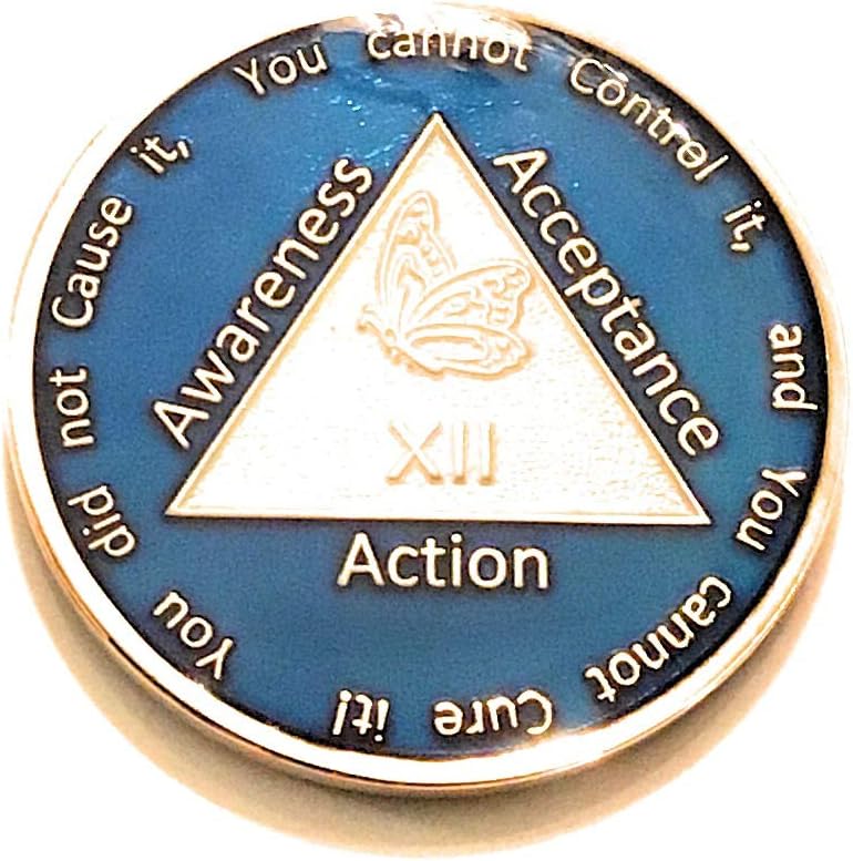 Amazon.com: Recovery Line 12 Year Al-Anon Blue Butterfly Anniversary ...