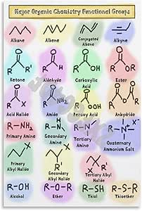 Amazon.com: Organic Chemistry Functional Groups Poster University ...