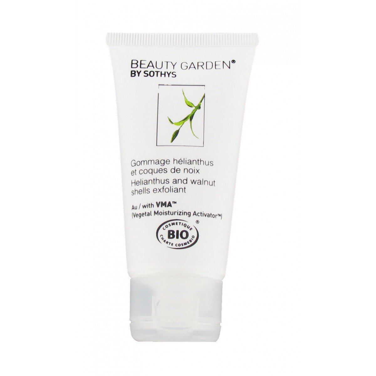 Amazon.com: Sothys Paris Beauty Garden Gommage Helianthus & Walnut ...