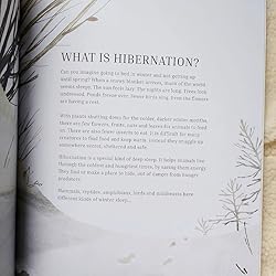 Winter Sleep: A Hibernation Story : Taylor, Sean, Morss, Alex, Chiu ...