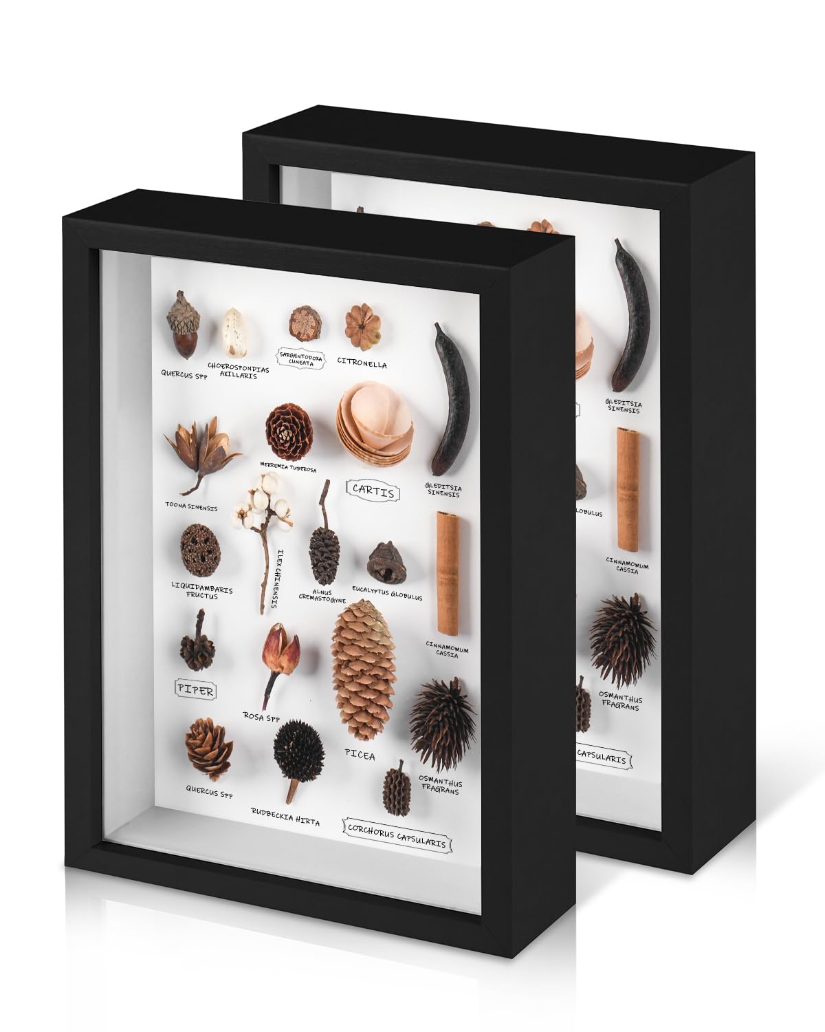 Amazon.com - 2 Pack 8x10 Shadow Box Frame with Plexiglass, Wood Frame ...