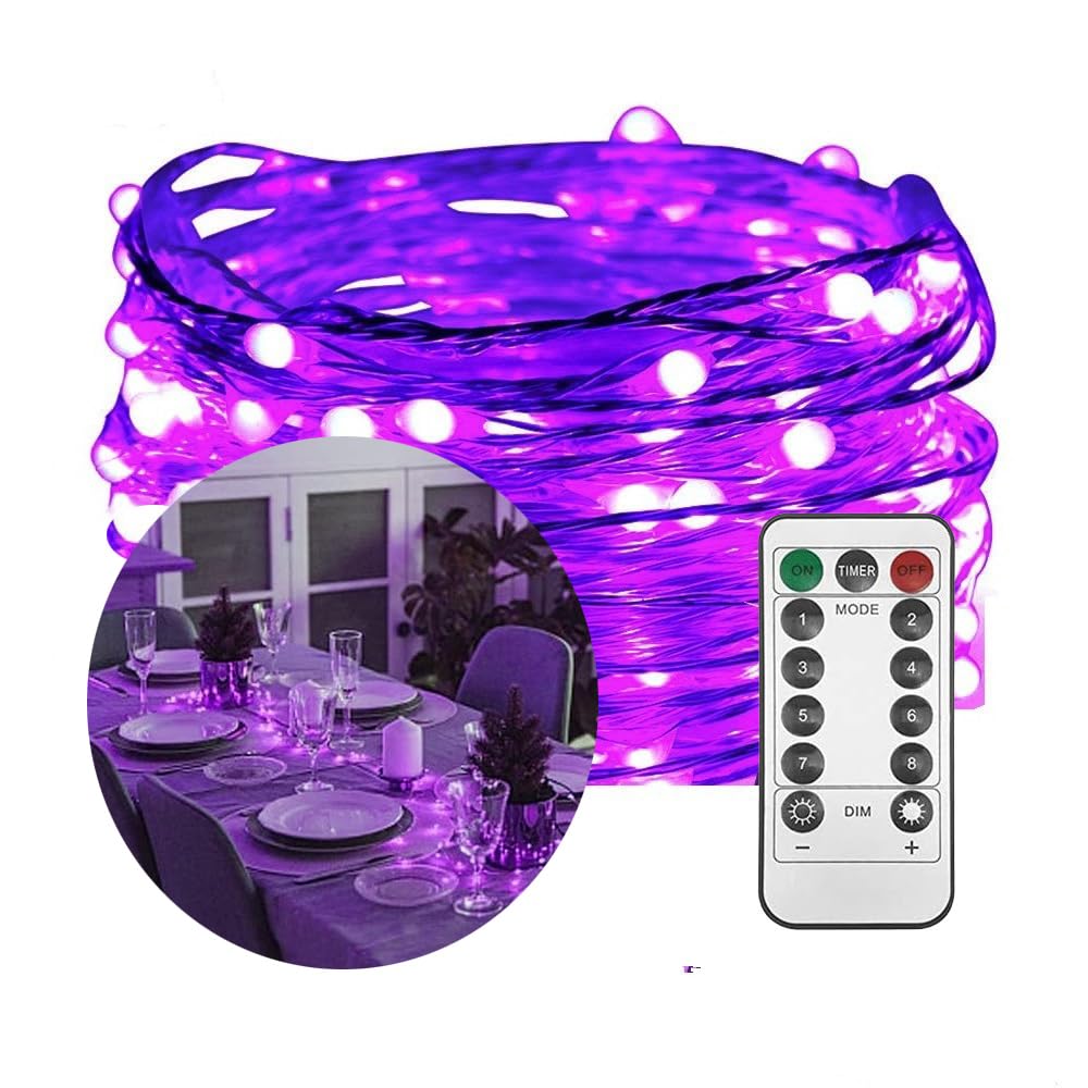 Amazon.com: iiEASEST 100 LED String Lights, 33 feet Long Copper Wire ...