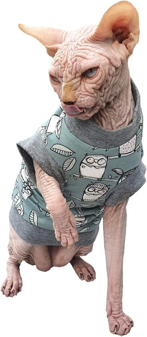 Kotomoda Camiseta de gato Tender Owl Verde para Esfinge y Gatos ...