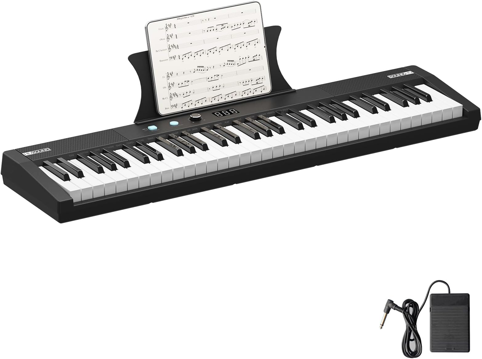 Amazon.com: 61 Keys Keyboard Piano, Electric Keyboard Piano Instrument ...