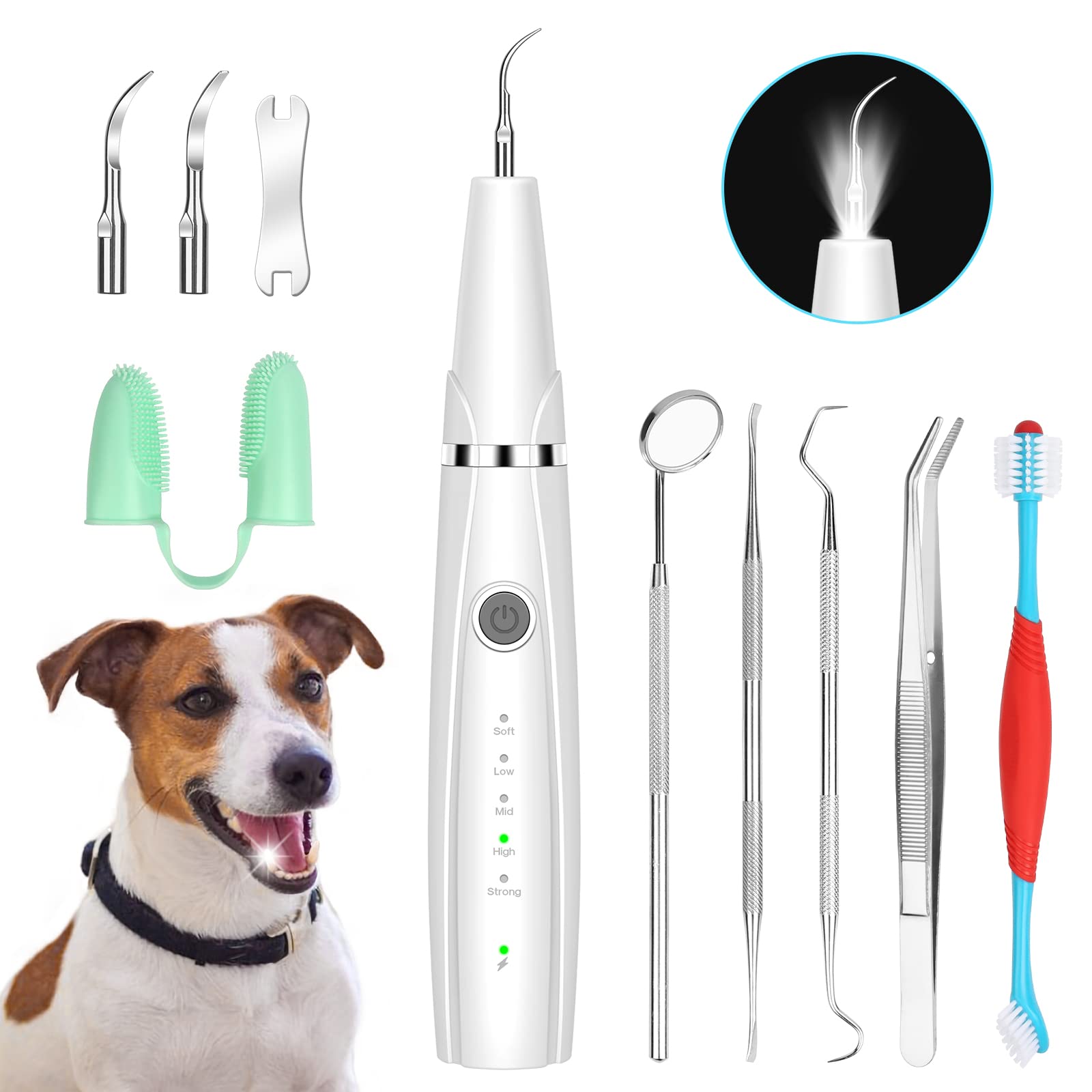 Amazon.com: Dog Teeth Cleaning Kit for Pet Teeth Cleaning, Dog Plaque ...