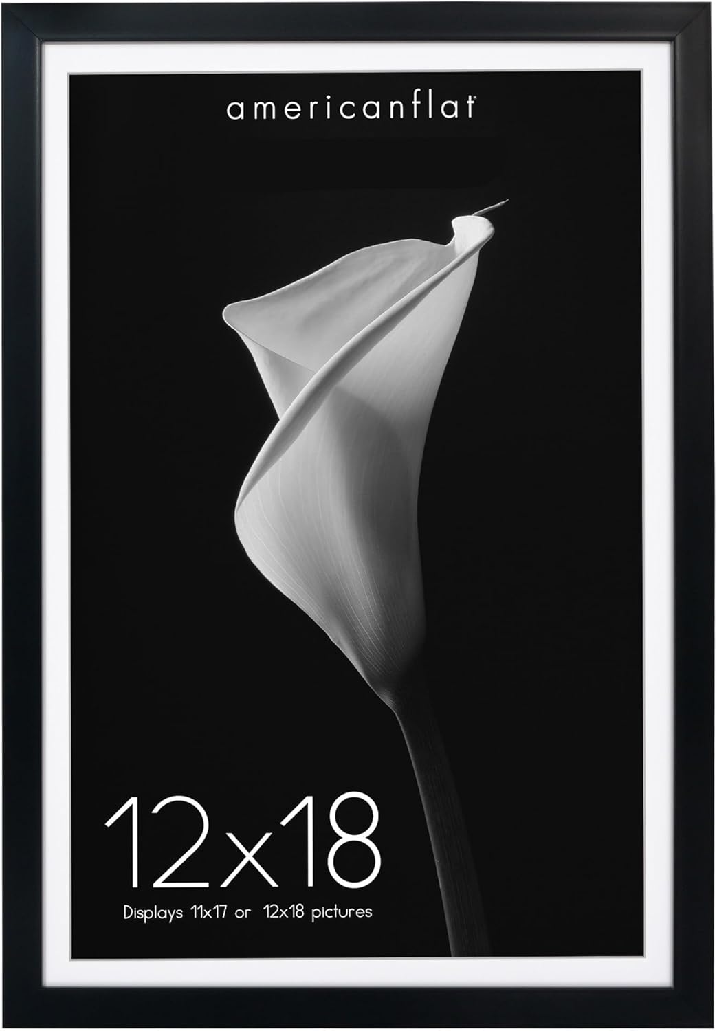 Amazon.com: Americanflat 12x18 Poster Frame in Black - Use as 11x17 ...