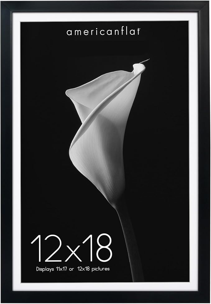 Amazon.com: Americanflat 12x18 Poster Frame in Black - Use as 11x17 ...