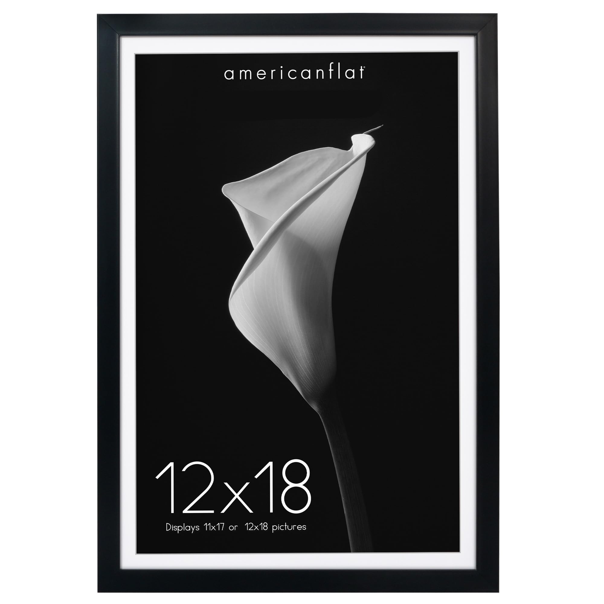 Amazon.com: Americanflat 12x18 Poster Frame with Polished Plexiglass ...
