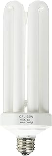 Amazon.com: cfl-65w 4100k e26
