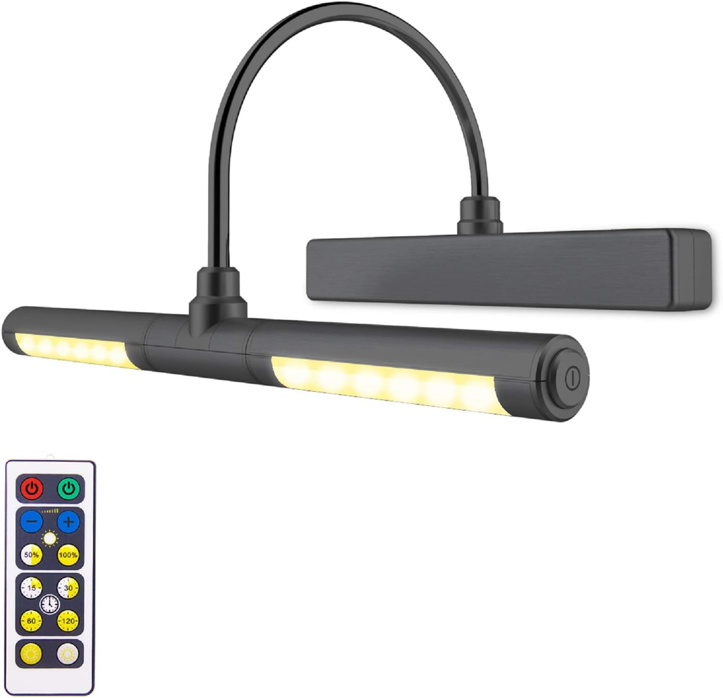 LUXSWAY Wireless Painting Light with Rotatable Light Head for Wall Art ...