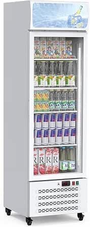 Amazon.com: 11.3 Cu.Ft. Commercial Display Refrigerator for Beverages ...