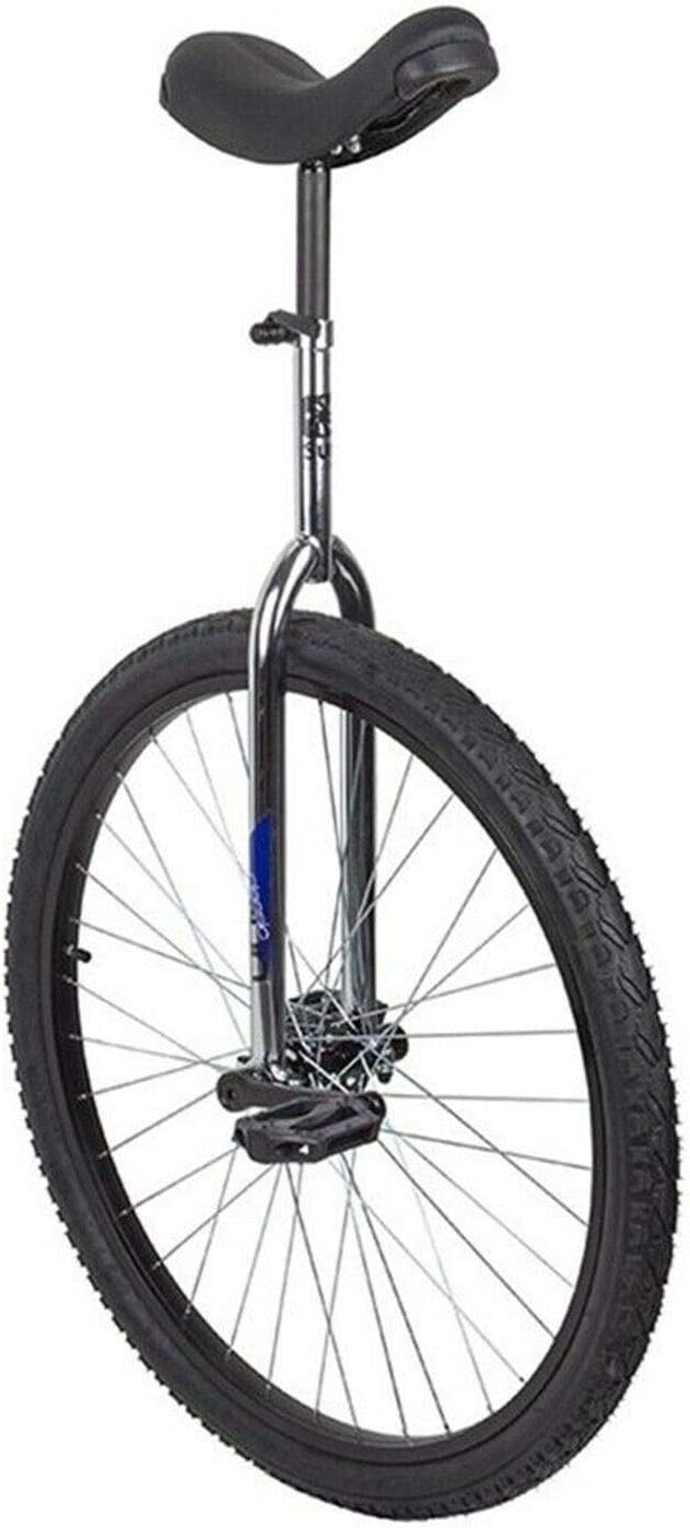 Amazon.com : SUN BICYCLES Unicycle Classic 29 Inch Chrome Plated/Black ...
