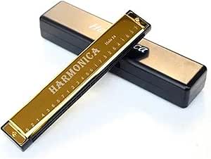 Amazon.com: harmonicas for adults 24 Hole Harmonica Metal Organ ...
