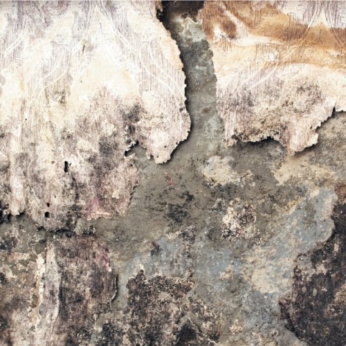 Amazon.co.jp: Rusty Bones : Devil´s Dandruff: デジタルミュージック