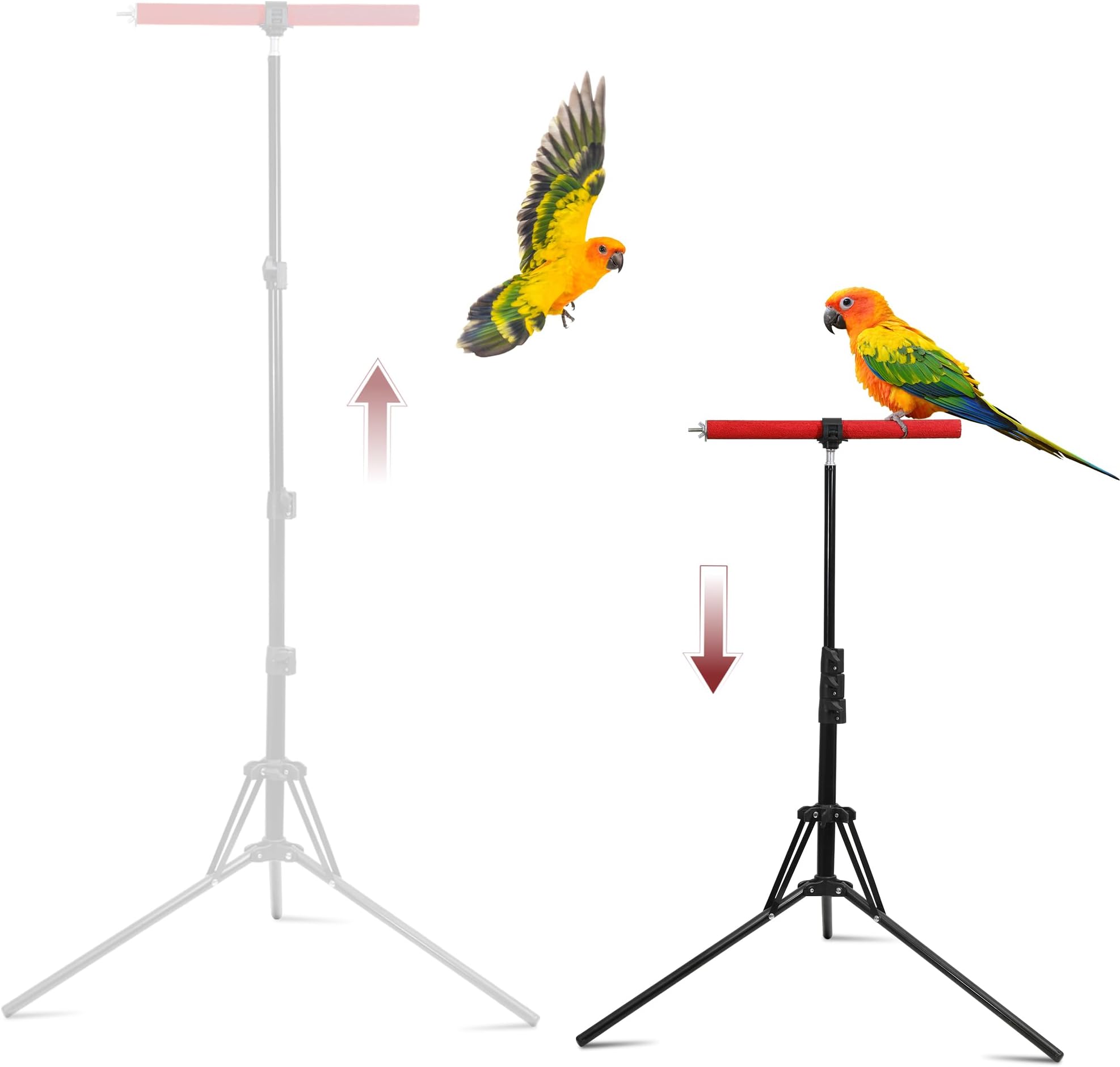 Amazon.com : Mshrier Adjustable Bird Perch Stand,16-63 Inches Height ...