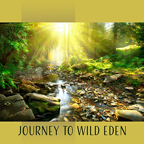 Amazon.com: Journey to Wild Eden: Sounds of Nature (Birds, River, Waves ...