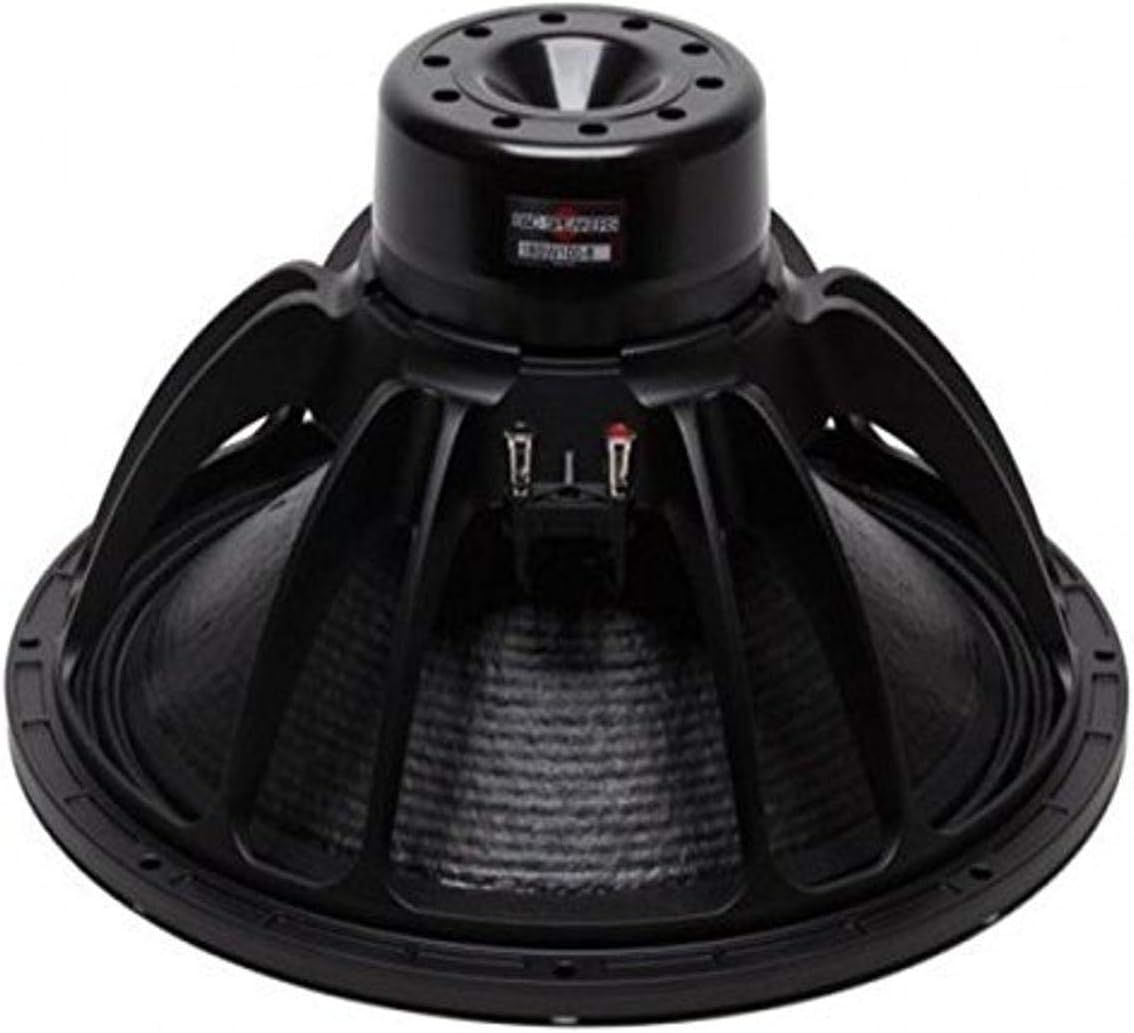 Amazon.com: Rockford Fosgate Punch P300-10T Single 10" 300-Watt ...