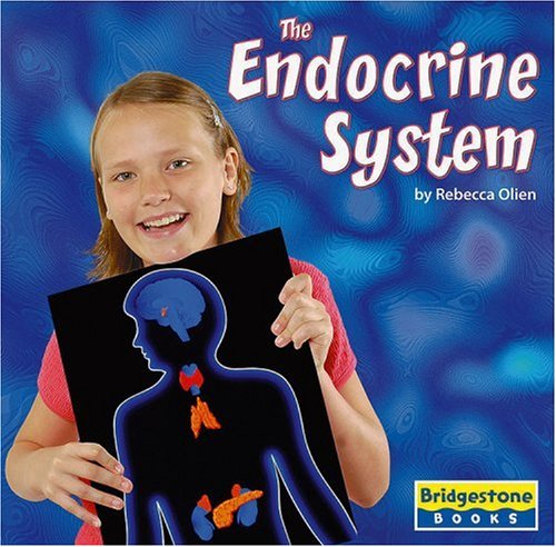 The Endocrine System (Human Body Systems): Olien, Rebecca ...