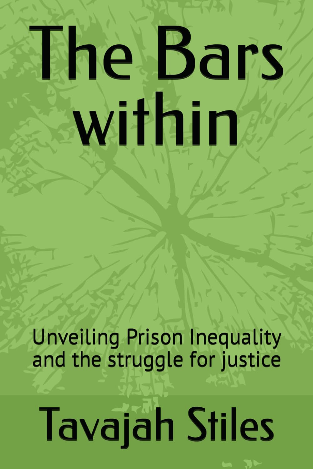 The Bars within: Unveiling Prison Inequality and the struggle for ...