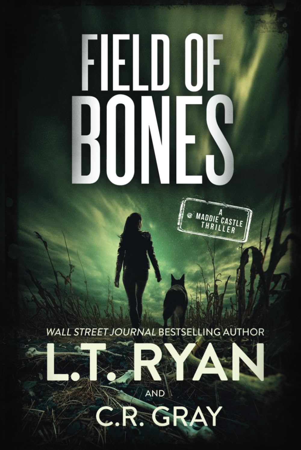 Amazon.com: Field of Bones (Maddie Castle): 9781685333638: Ryan, L.T., Gray, C.R.: Books