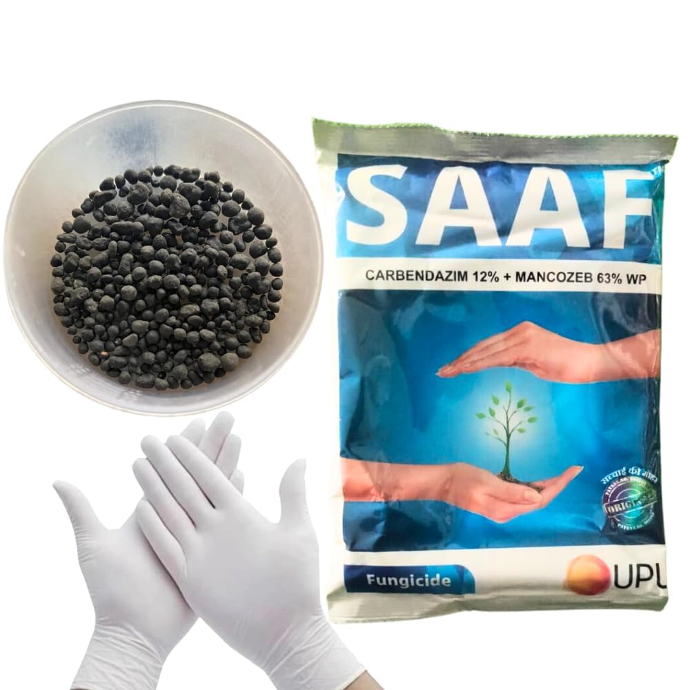 Saaf 100Gm + Organic Dap 350 Gram (Pack Of 2) - Powder : Amazon.in ...