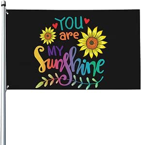 Amazon.com: Xloenmva You are My Sunshine Flag Built for Outdoor Use ...