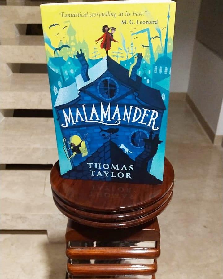 Malamander: Search! Play! Create Your Own Stories! : Taylor Thomas ...