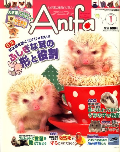 Anifa (アニファ) 2008年 01月号 [雑誌] : Amazon.es: Libros