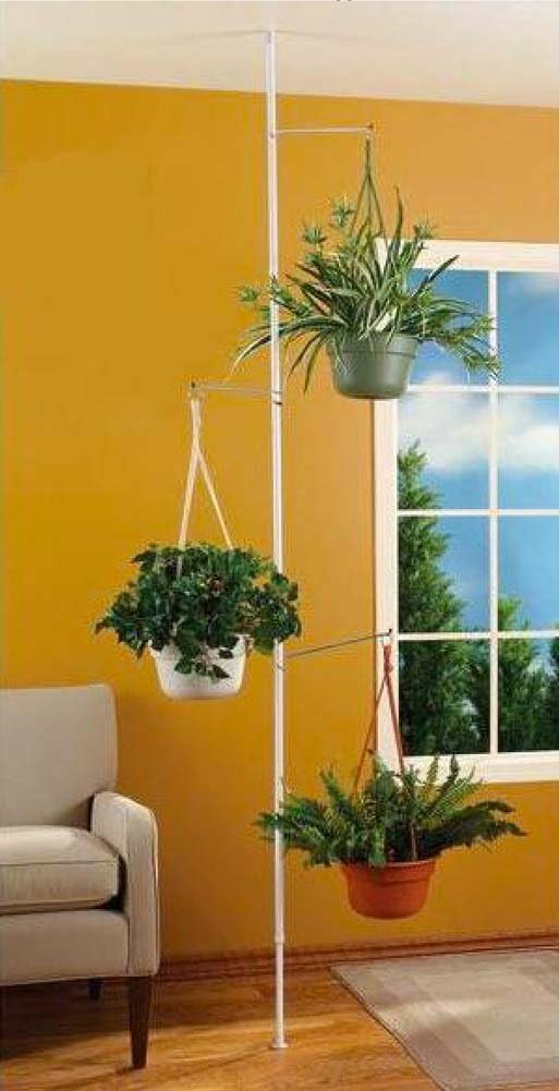 Amazon.com: Indoor Plant Pole : Patio, Lawn & Garden