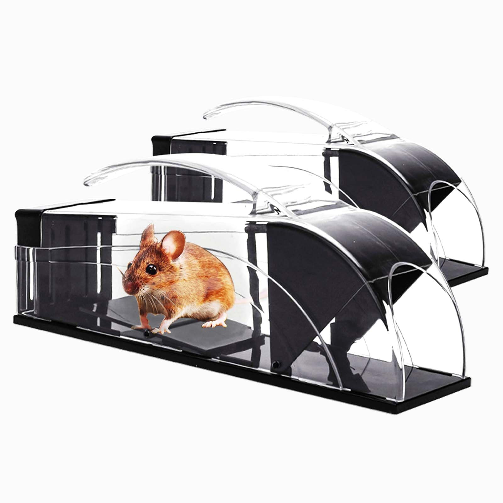 Amazon.com : KUKUHOSE Humane Rat Trap No Kill Mouse Trap, Reusable with ...